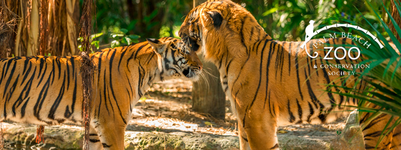 Museums & Attractions